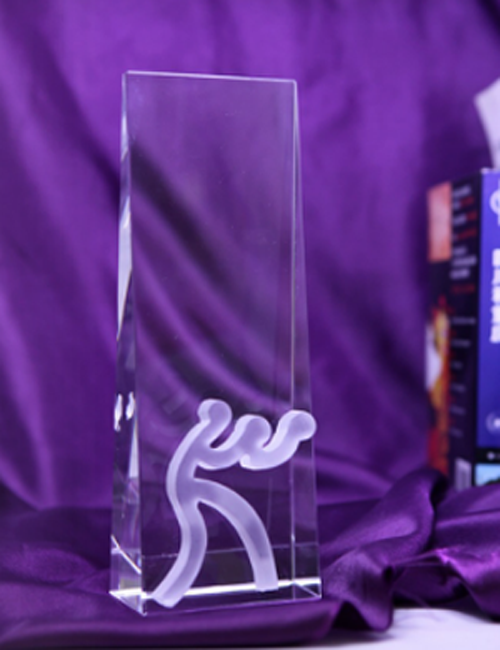 High End Customized Design Satin Crystal Boxing Trophy